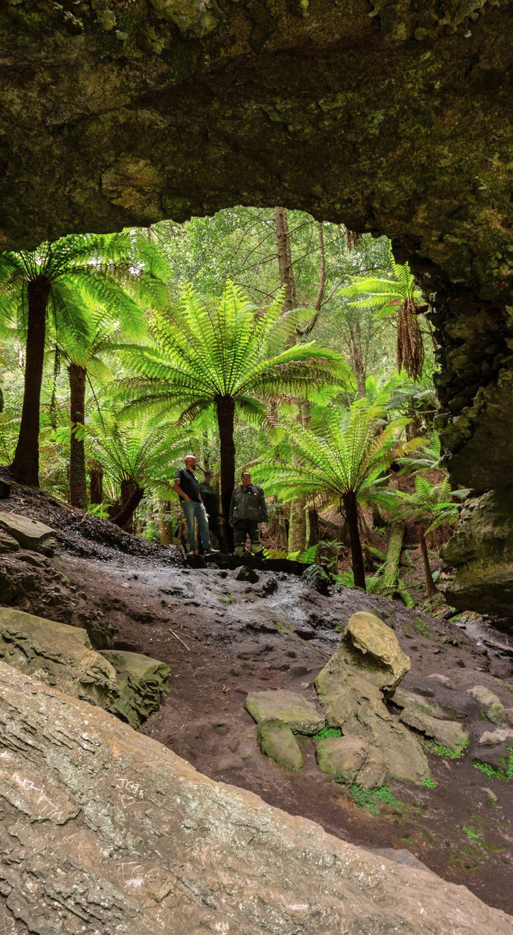Tour Information – Spoke Motorcycle Festival